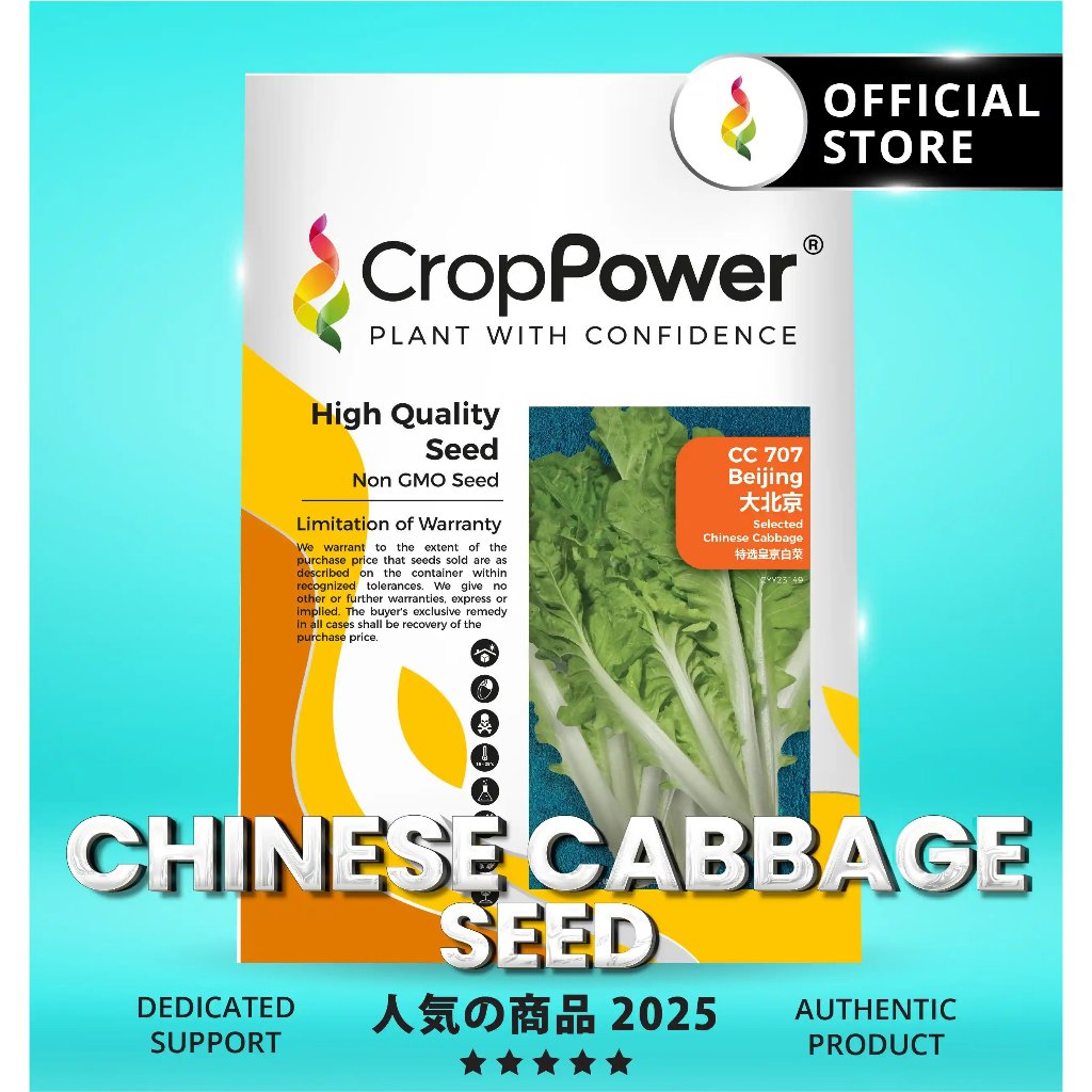 (50 GRAM) Biji Benih Kubis Cina Beijing 大北京 CC707 CROP POWER Chinese ...