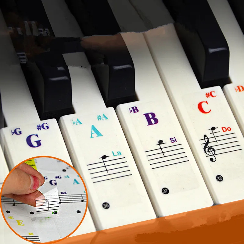 61/76/88 Color Transparent Piano Keyboard Stickers Electronic Keyboard ...