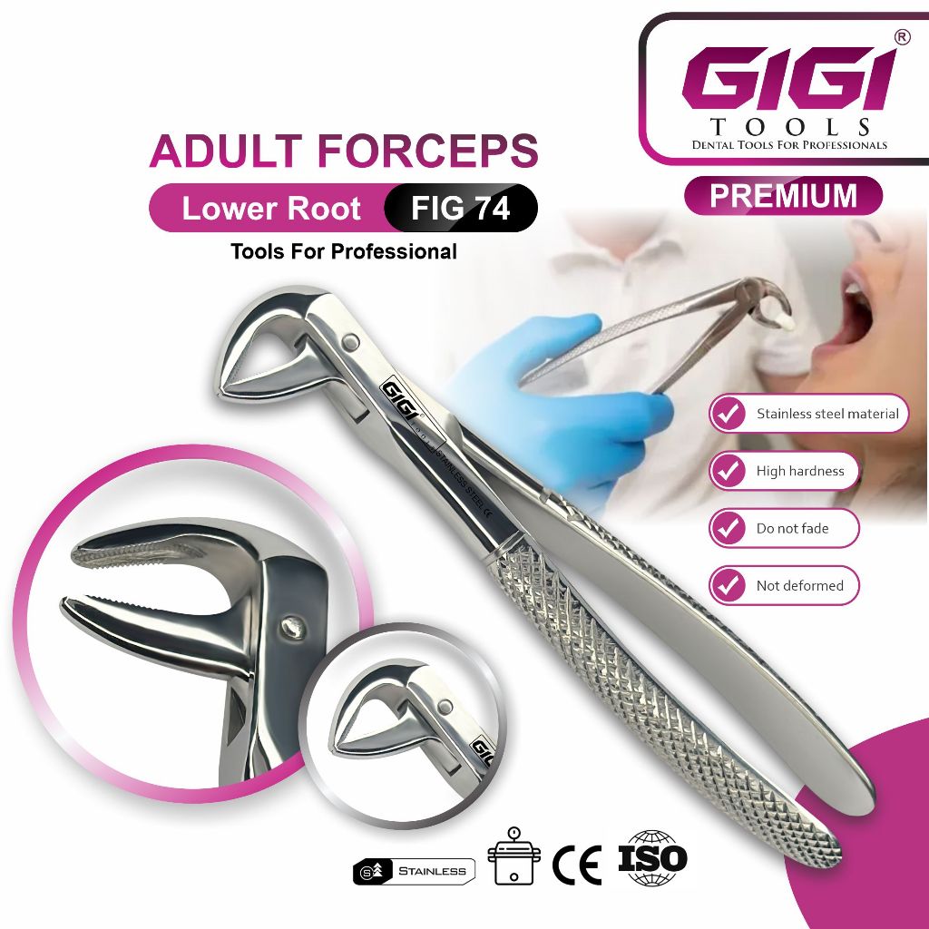 GIGI Tools Tooth Extracting Forceps Lower Root FIG 74 Adult For ...