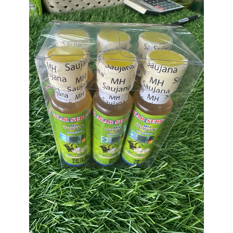 Minyak Akar Seruntun Plus MH Saujana 💯original Langkawi | Shopee Malaysia