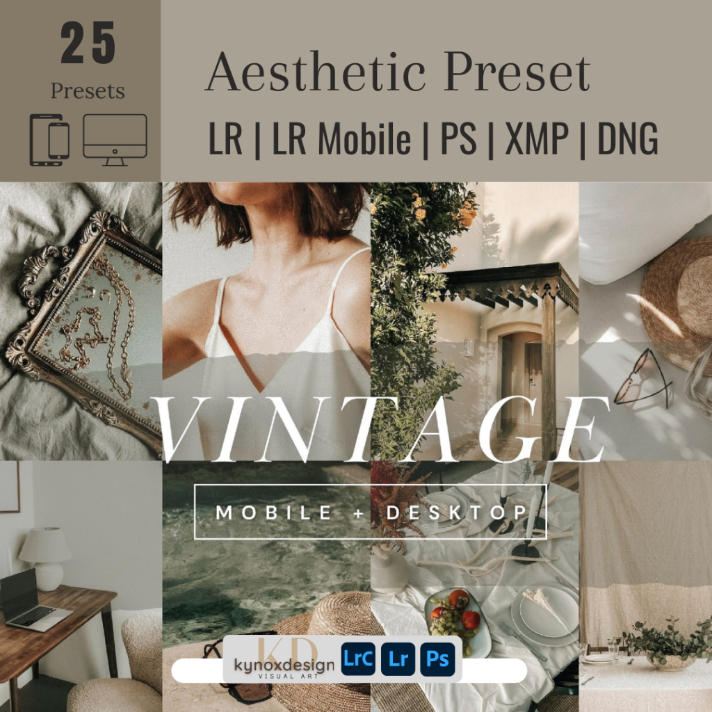 [Lightroom Preset] Aesthetic Preset - Vintage for LR/LR(mobile)/PS ...