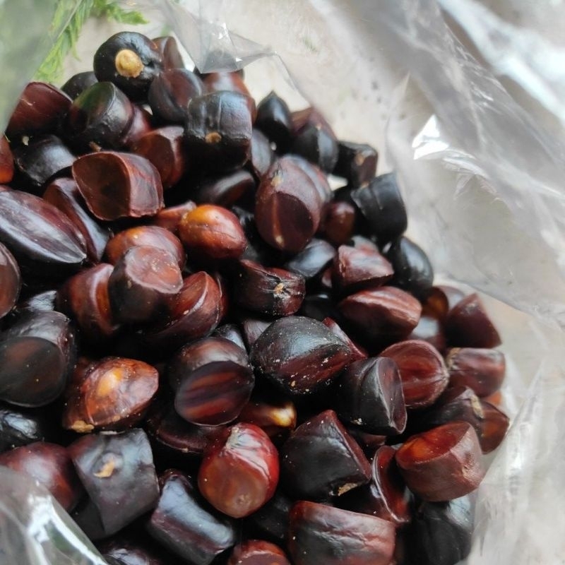 BUAH KERDAS @GEDUAK FRESH 500gram | Shopee Malaysia