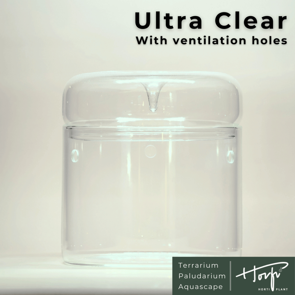 [Horti] Bioactive Terrarium Glass (Medium) - Ultra Clear Glass ...