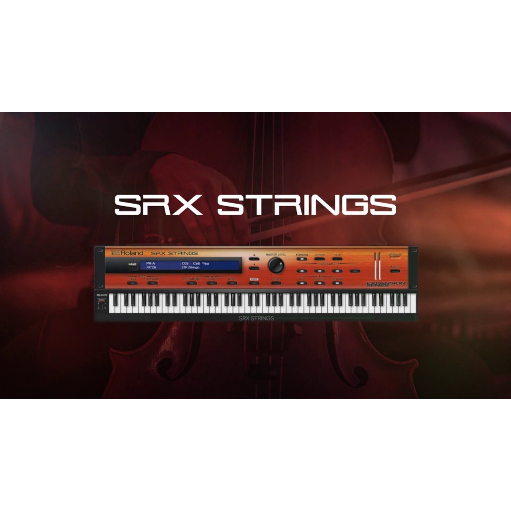 Roland SRX - Strings [VST, AAX] (WINDOWS ONLY) | Shopee Malaysia