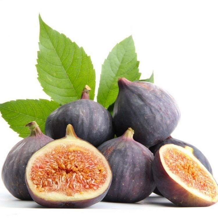 150 pcsFig fruit seeds/ biji benih pokok fig/无花果种子 | Shopee Malaysia