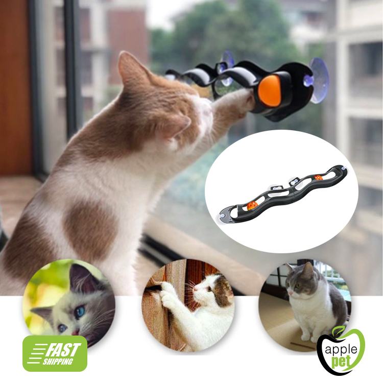 Track n Roll Interactive Cat Toy, Suction Capped Cat Toys Tunnel Ball ...