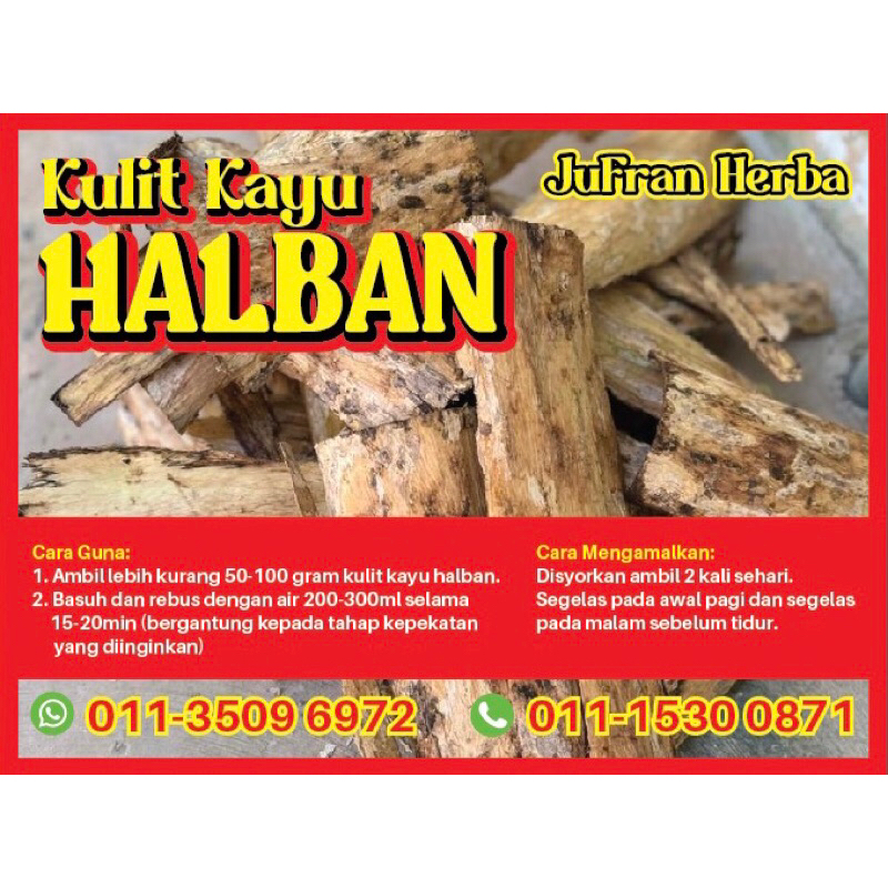 Kulit Kayu Pokok Halban Tanduk/Halban Hitam 100% Asli ...