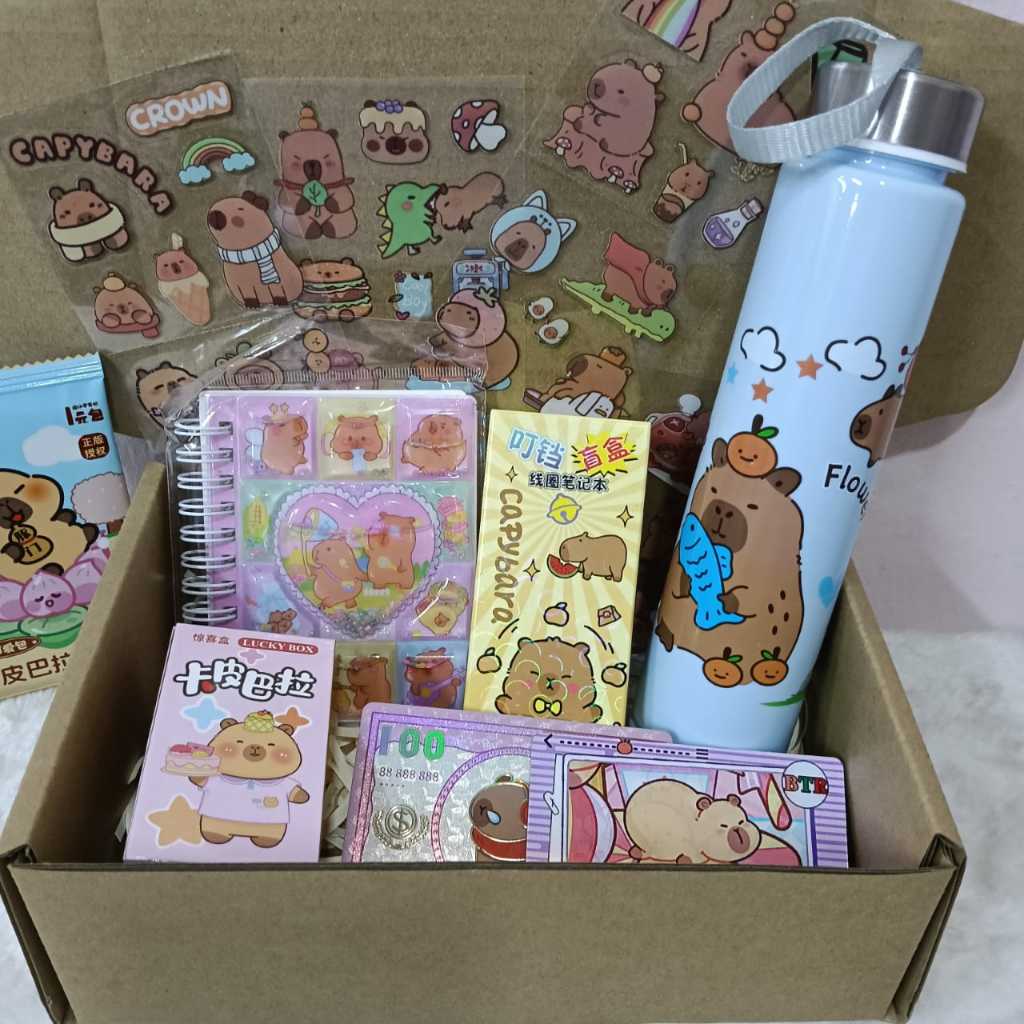 capybara gift set box for birthday teacher day graduation surprise box ...