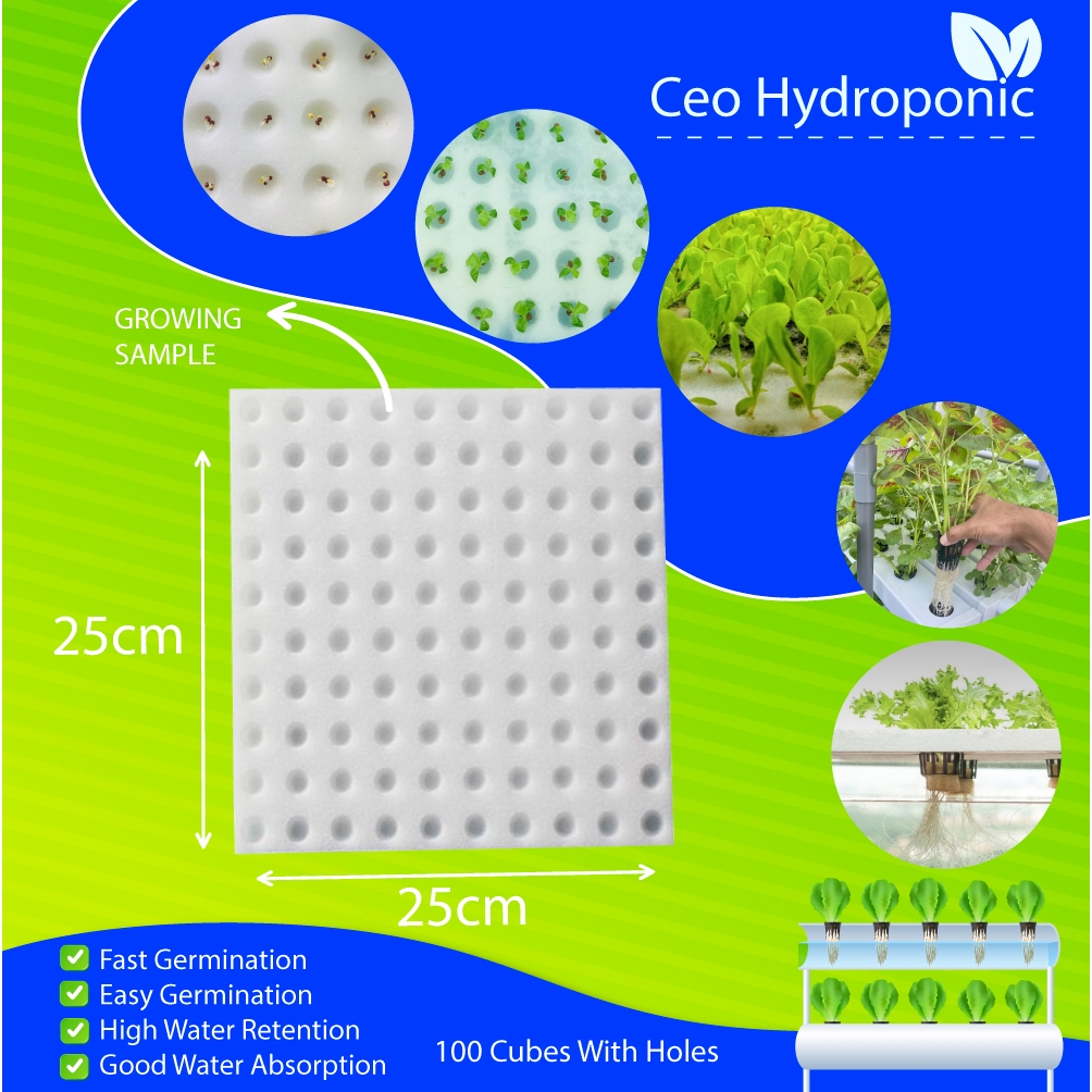 Sponge 100 Cubes With Holes Pre-cut Germination Sponge for Seedling ...