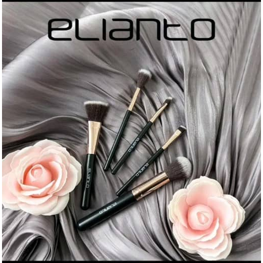 🔥 NEW LIMITED EDITION🔥 * ELIANTO MAKE UP BRUSH 5 IN 1* 🔥 | Shopee Malaysia