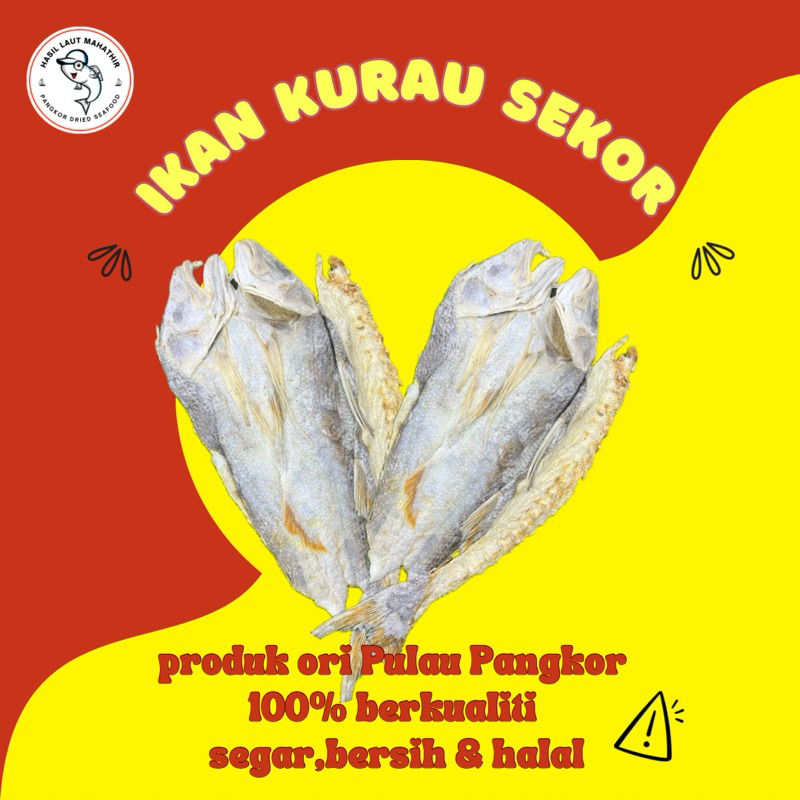 IKAN KURAU PULAU PANGKOR SEEKOR / SEPARUH EKOR / dried fish | Shopee ...