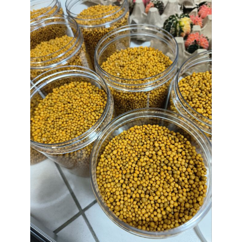 osmocote 14-14-14 everris from Netherlands original (repack) | Shopee ...