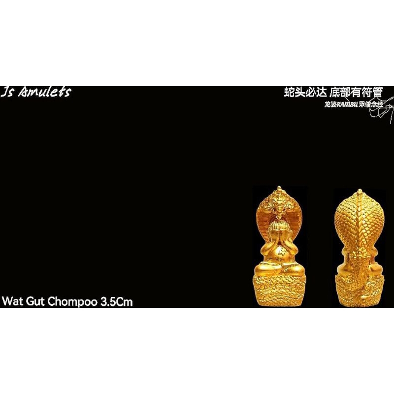 蛇头必达 Snake head Pidta Lp Kambu,the last batch最后一帮 3.5cm 底部有符管Bottom ...