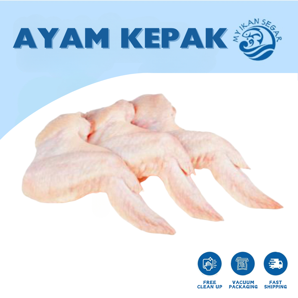 AYAM KEPAK 500G/1KG AYAM KEPAK CHICKEN WING FROZEN 鸡翅膀 FRESH CHICKEN ...