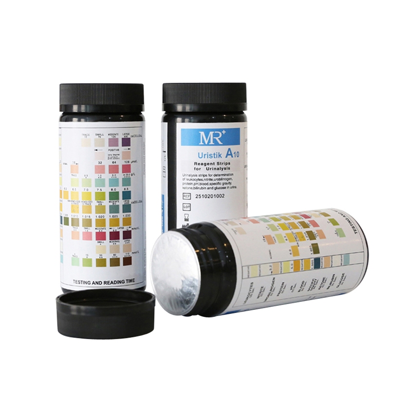 MR U10 Urine Strips (10 Parameters Urine Reagent Strips for Urinalysis ...