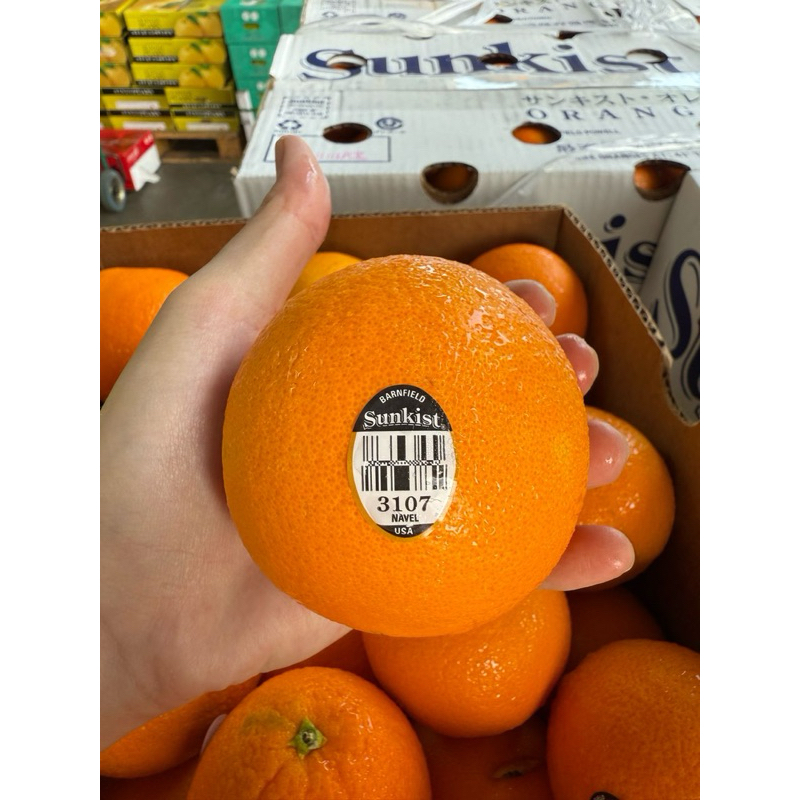 US Sunkist Barnfield Navel 3017 Orange / Oren 美国香甜肉橙 （3pcs) | Shopee ...