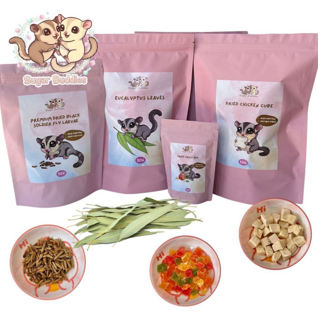 SG BUDDIES Sugar glider food HPW goat milk fish snack sugar glider ...