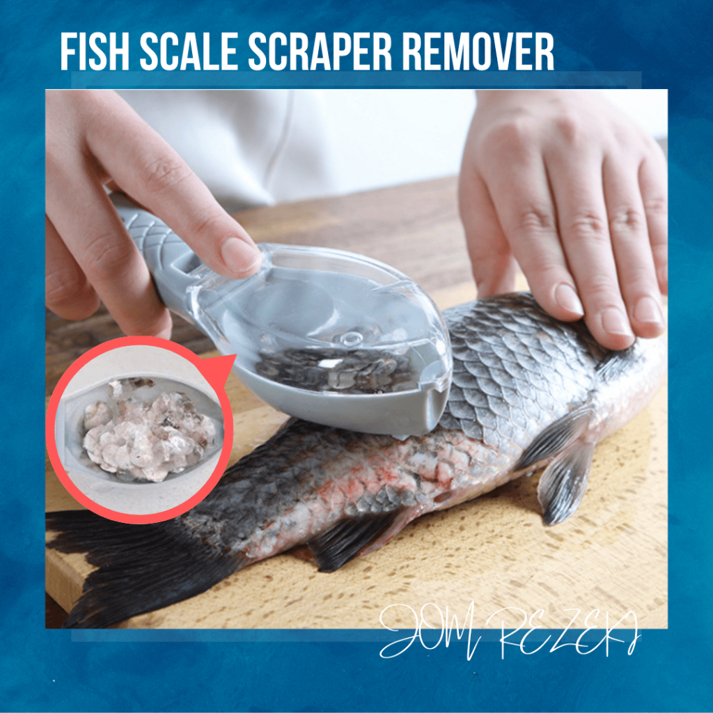 JOM High Quality Plastic Fish Scales Graters Scraper Fish Cleaning ...