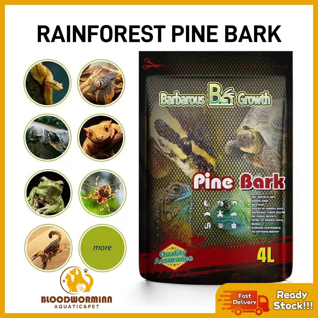 Natural Pine bark Reptile Tortoise Substrate pure pine bark Reptile ...