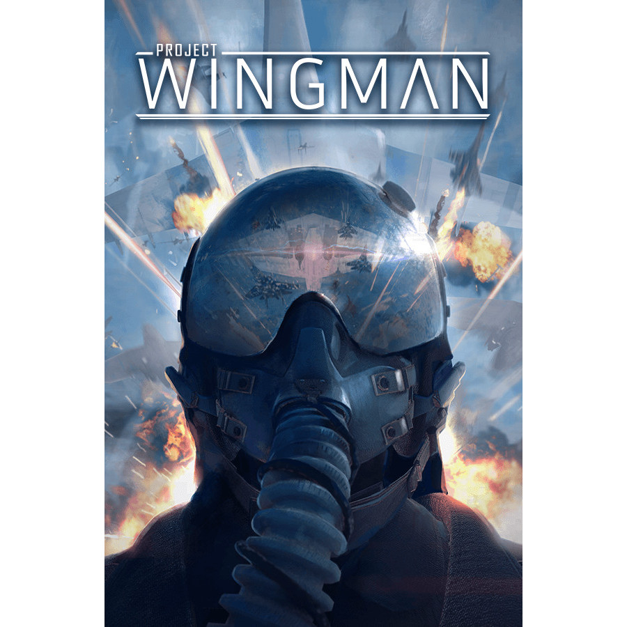 [PC] Project Wingman - Frontline-59 Edition (digital download) | Shopee ...