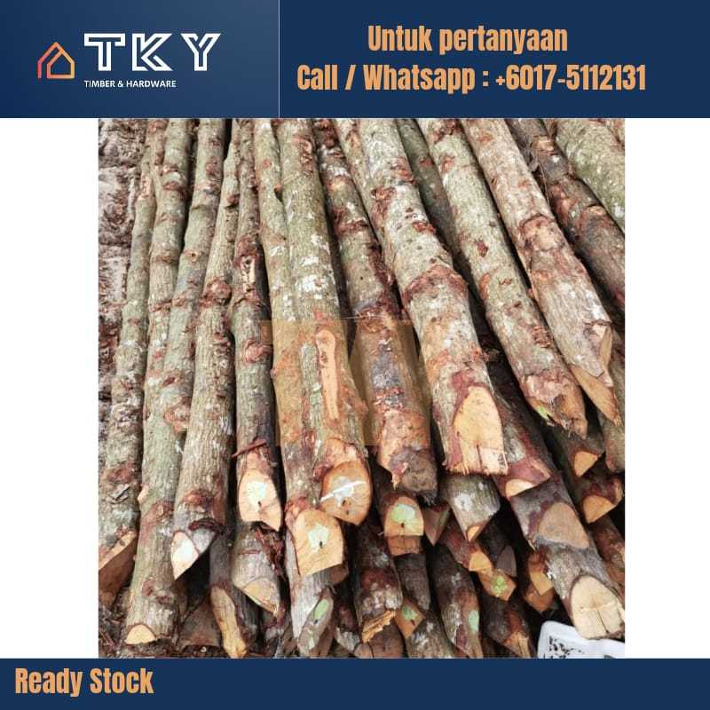 [SELANGOR/KL] Bakau Wood/ Kayu Bakau 5" x 10ft(L) | Shopee Malaysia