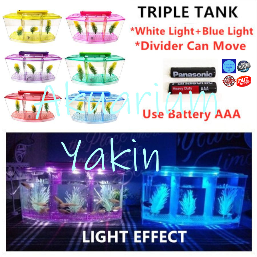 TANK KIT BETTA FISH BOW-FRONT MINI AQUARIUM IKAN TANGKI TRIPLE TANK ...