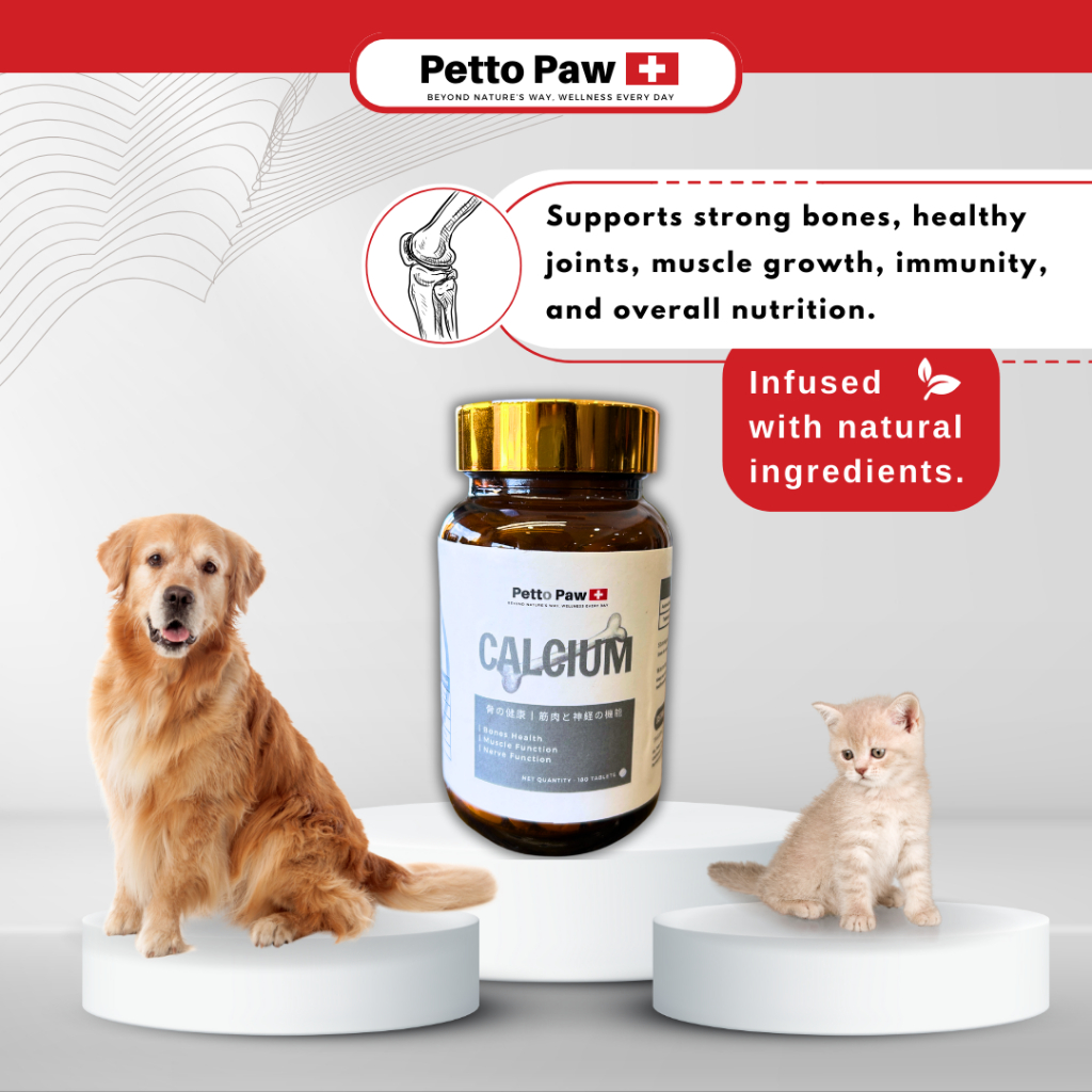 Petto Paw Calcium Vitamin 180 tablets for cats and dog (Artritis ...