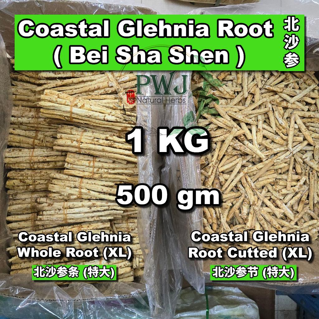 Coastal Glehnia Root (Bei Sha Shen)(XL Size) 北沙参条/北沙参节 (特大)(1kg, 500g ...