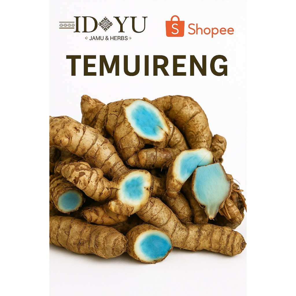 Temuireng Herba Tradisional - 1Kg (Ready stock) | Shopee Malaysia