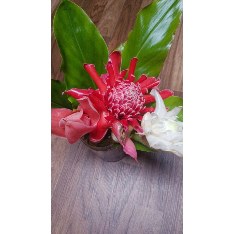 bunga kantan segar oder masuk baru ambil | Shopee Malaysia