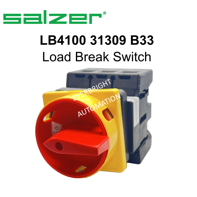 Salzer LB4100 31309 B33 RDYR 3 Pole 100A Load Break Switch Isolator ...
