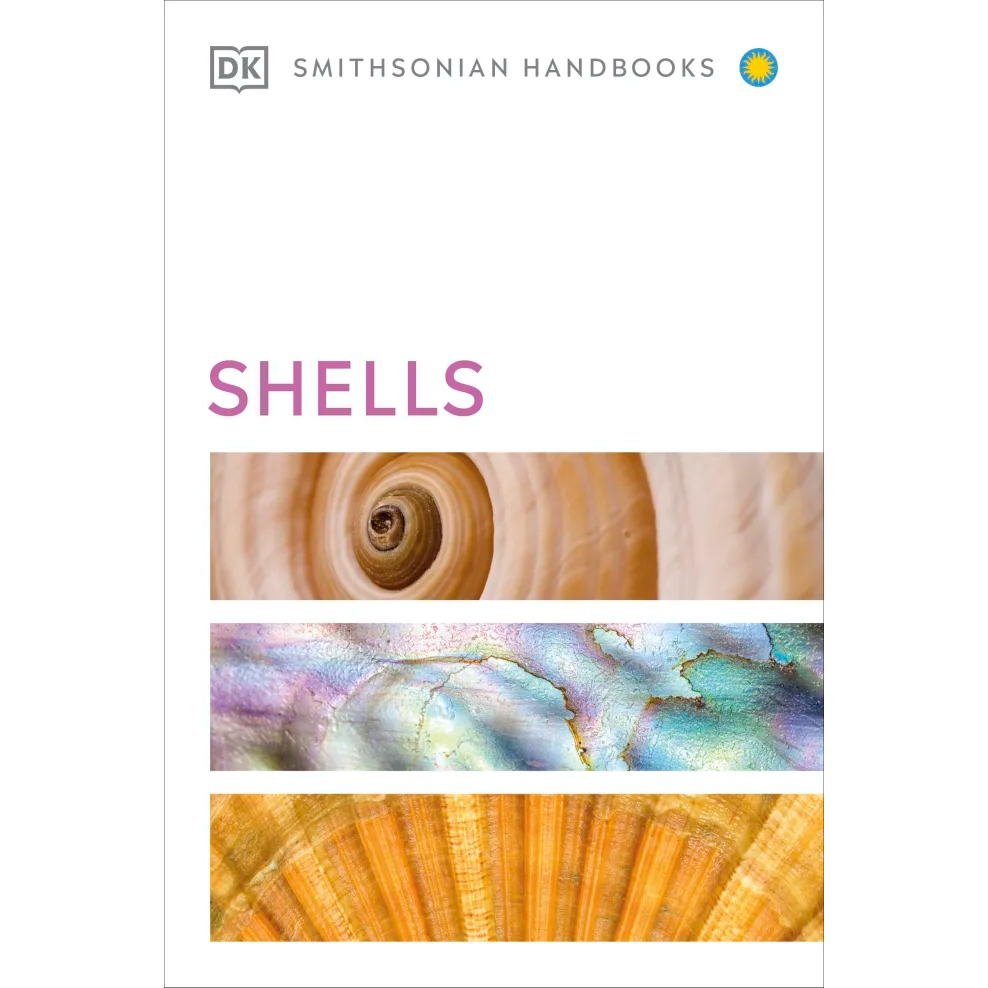 Shells of the World : A Visual Guide to 500+ Seashell Species | Shopee ...