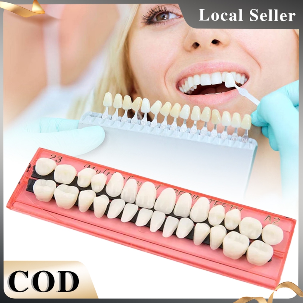 10 Set Durable Acrylic Resin Teeth Model Acrylic False Teeth Kit Full ...