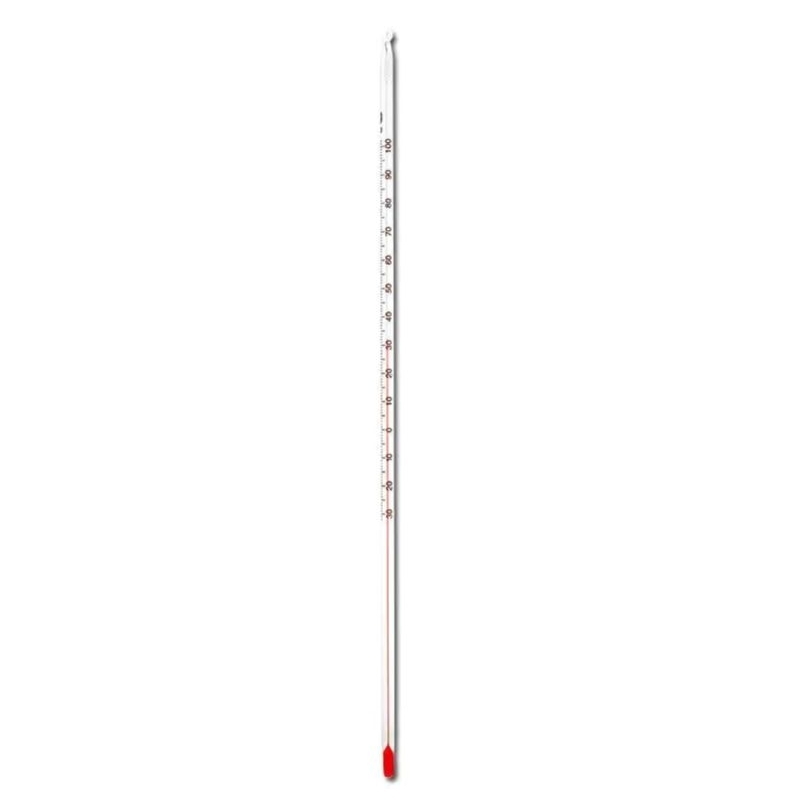 Alcohol Thermometer/Termometer alkohol (-30-100) (5pcs/set) | Shopee ...
