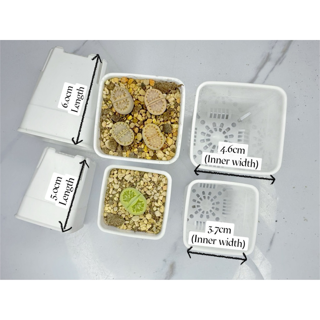 Pasu mini plastik putih / White miniature plastic pot | Shopee Malaysia