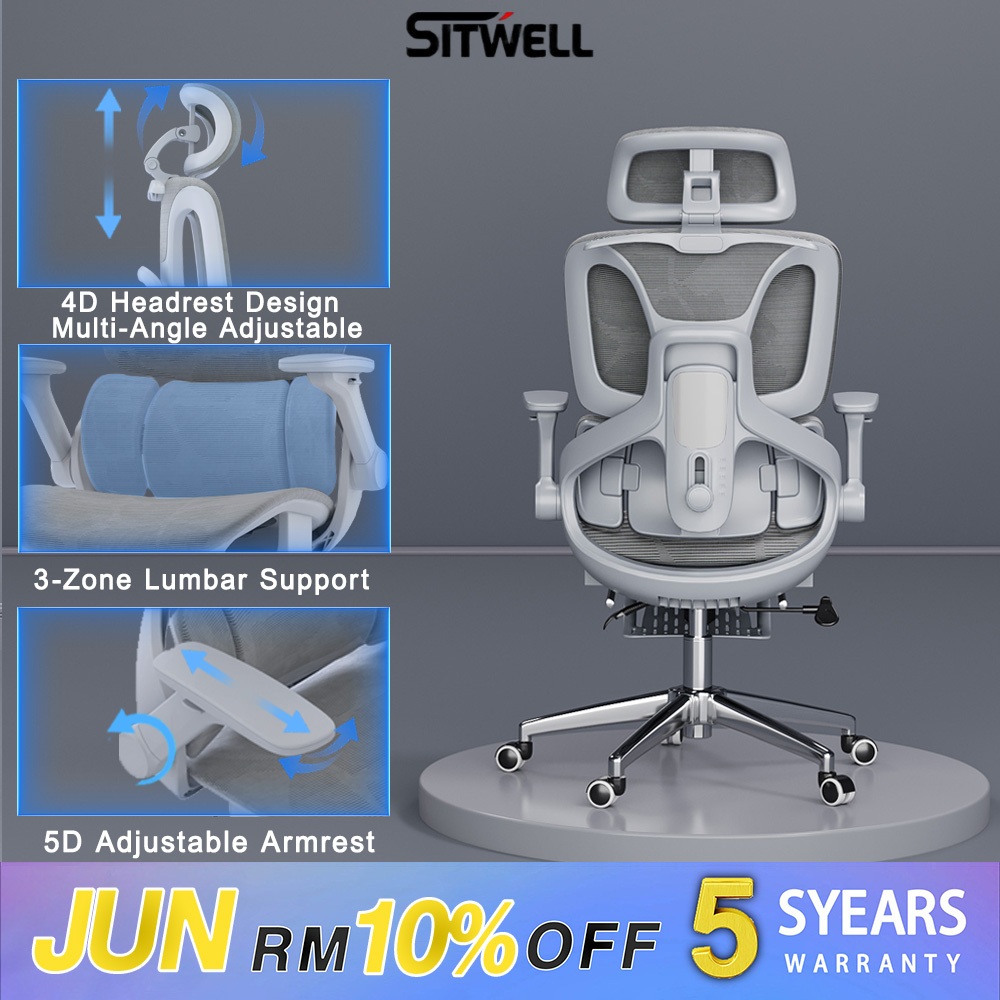 SitWell 905 Ergonomic Chair Office Chair Adjustable Back Gaming Chair ...