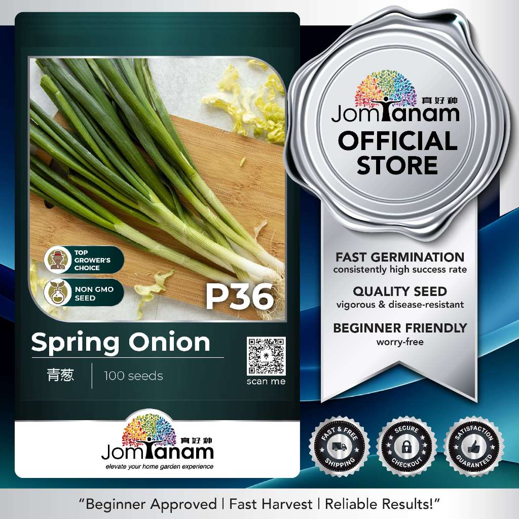 Biji Benih Daun Bawang P36 Spring Onion Herbs Seeds JOM TANAM 青葱种子 香料种子 ...