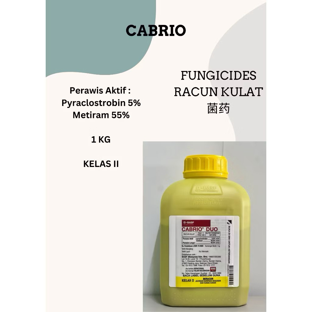 BASF Cabrio Duo 1KG Fungicide Racun Kulat Pyraclostrobin 5% Metiram 55% ...