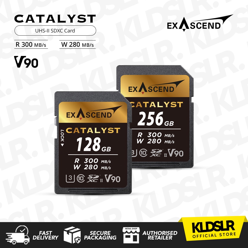 Exascend 64GB / 128GB / 256GB 300 MB/s Catalyst UHS-II SDXC V90 Memory ...