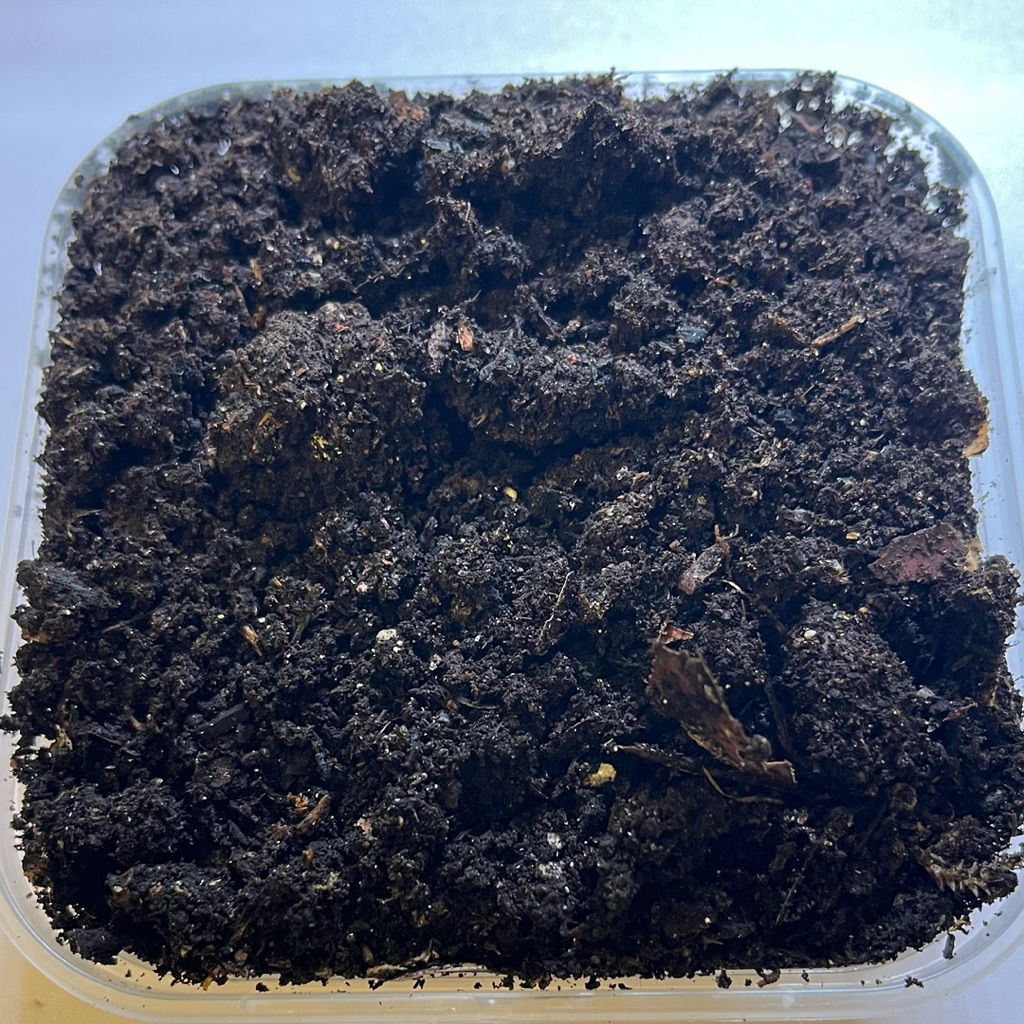 Isopod / Terrarium Substrate 250grams | Shopee Malaysia