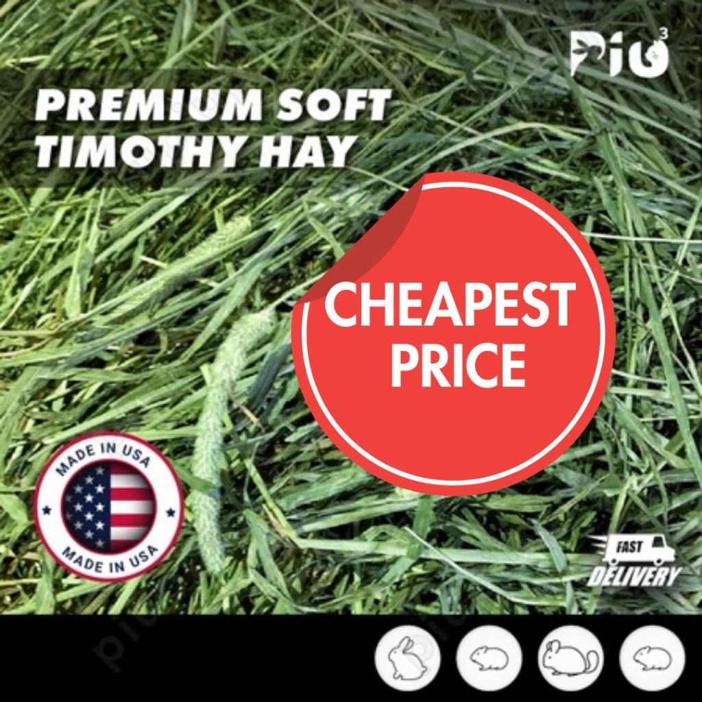 [24HR SHIP] PREMIUM SOFT TIMOTHY HAY Imported Timothy Alfalfa Orchard ...