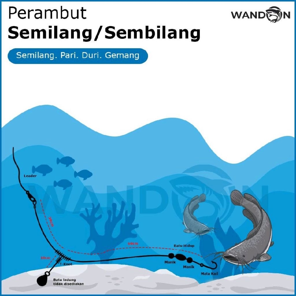 BS60 Perambut Ikan Semilang Sembilang Dasar Mata Satu Pantai Kelong ...