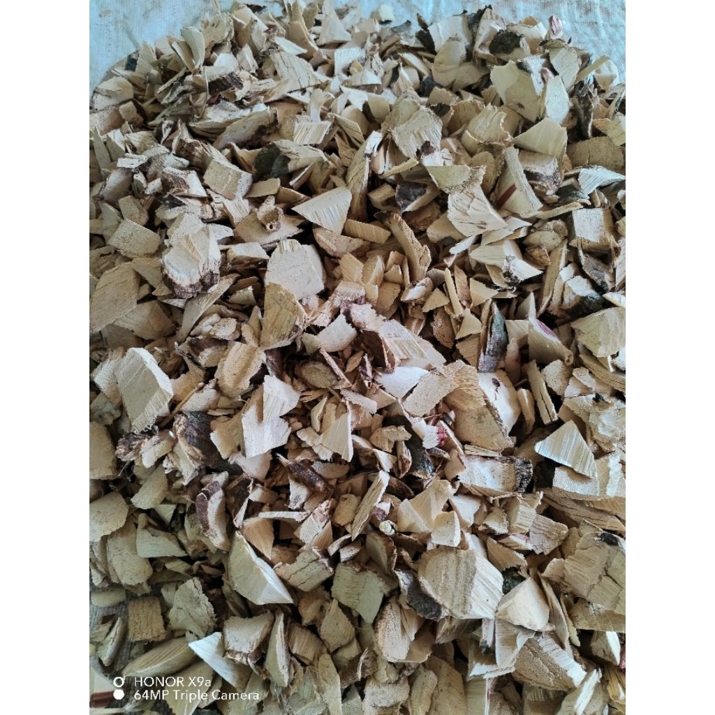 TEBU GAJAH ASLI 500gm | Shopee Malaysia