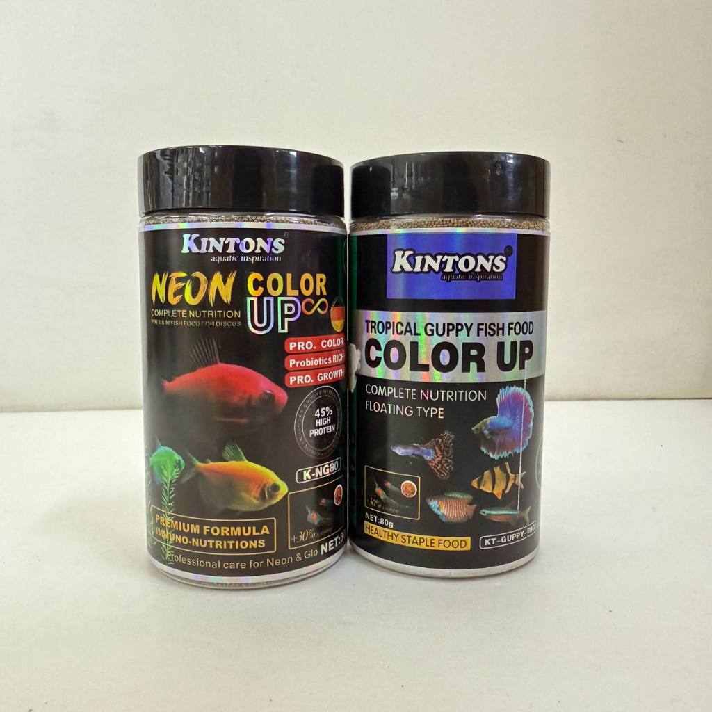 KINTONS Neon Colour Up - Warna Lebih Terang, Ikan Lebih Sihat! 🌈 ...