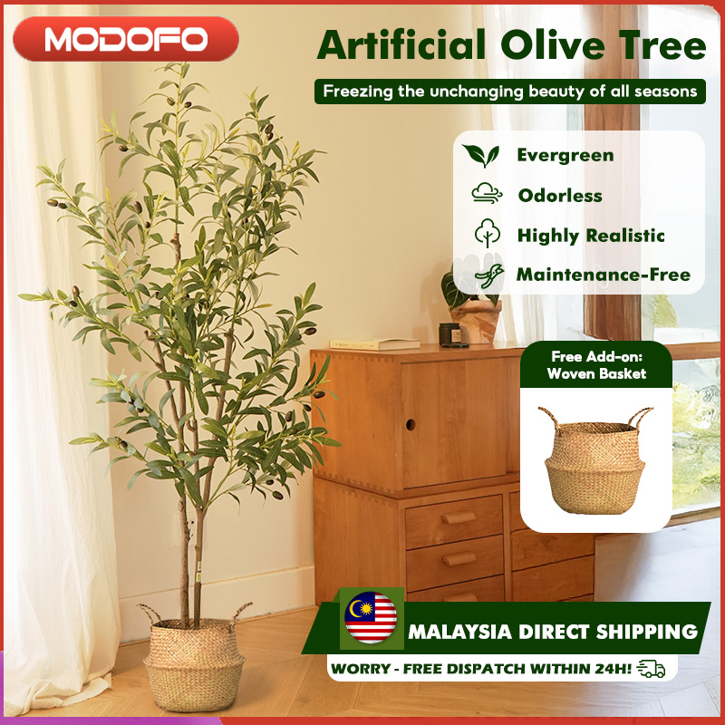 MODOFO Artificial Olive Tree with Basket Pokok Hiasan dalam rumah Faux ...