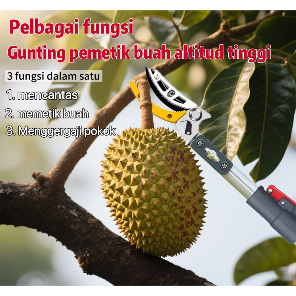4M Gunting pemangkasan altitud tinggi gunting pemetik buah lanjutan ...