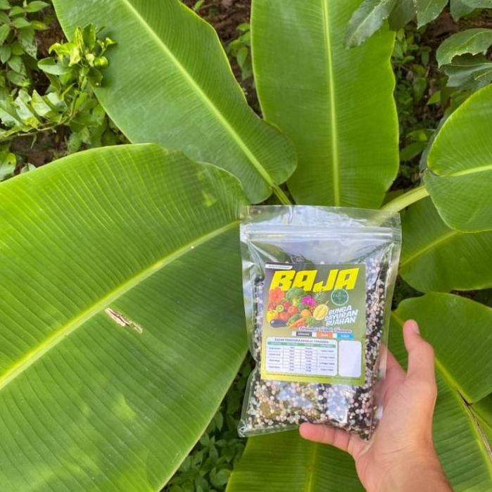 Baja pokok pisang berangan/tanduk dan lain lain pek 700gram lengkap ...