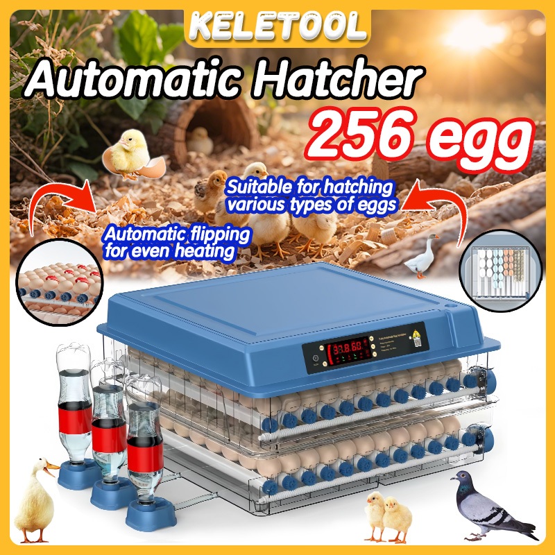 Intelligent Egg Incubator Transparent Design LED Display Automatic ...