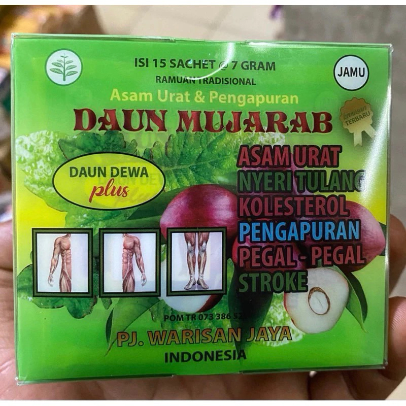 DAUN MUJARAB | Asam Urat Pengapuran | DAUN DEWA plus [ Isi : 15 sachet ...
