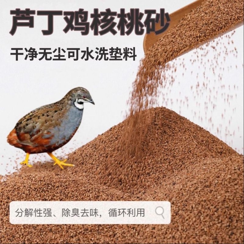 walnut sand bedding 核桃沙 1kg | Shopee Malaysia